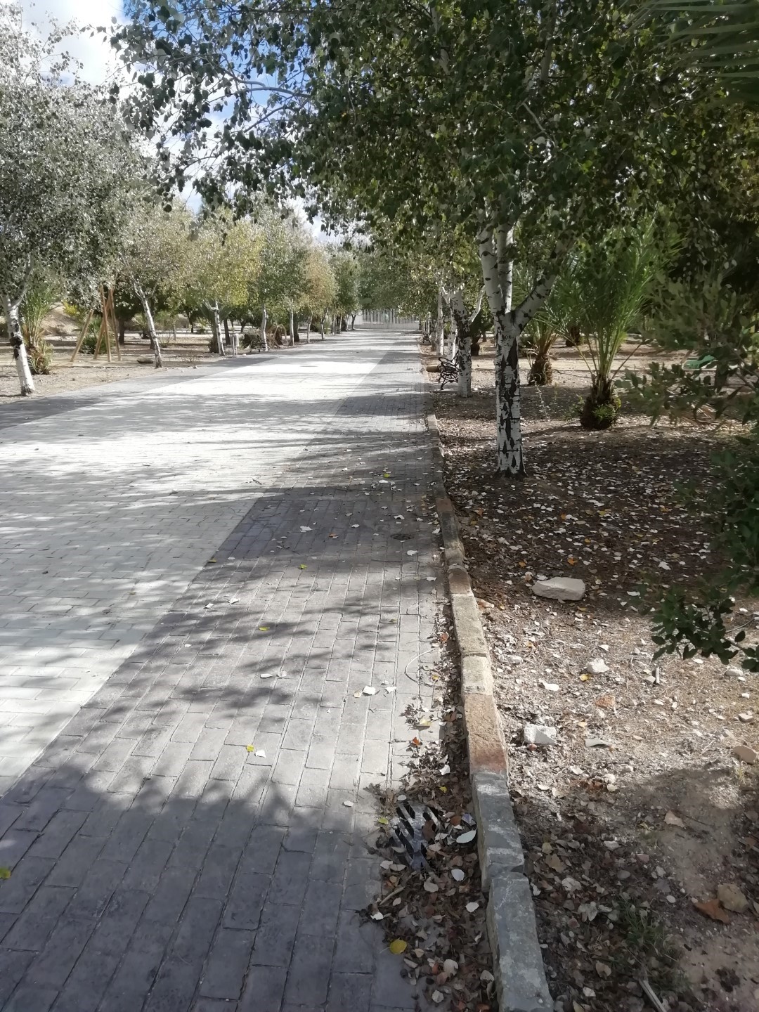 svc22gisweb2.acciona.int - /FotosGIS/Cazalilla/